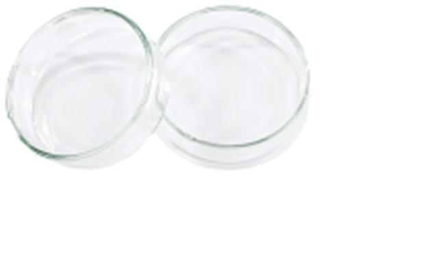 Glass Lab dish for surface tension | sgwebstore